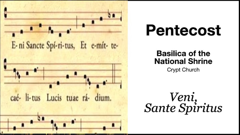 LITURGY NOTES – Pentecost C - The Word This Week
