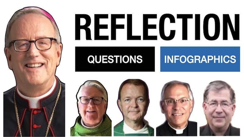 HOMILY VIDEOS - 29th Sunday of Year C - The Word This Week