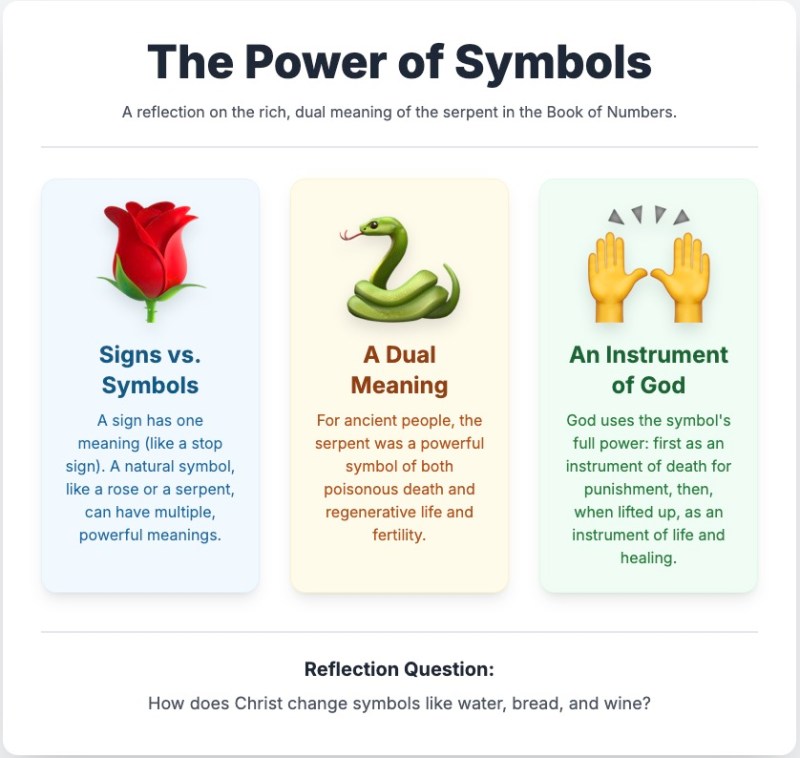 COMMENTARY - Exaltation of the Holy Cross - The Word This Week