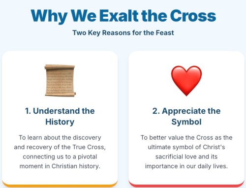 HOMILY STARTERS – Exaltation of the Holy Cross - The Word This Week