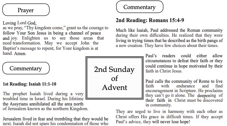 BULLETIN INSERTS - 2nd Sunday of Advent (A) - The Word This Week