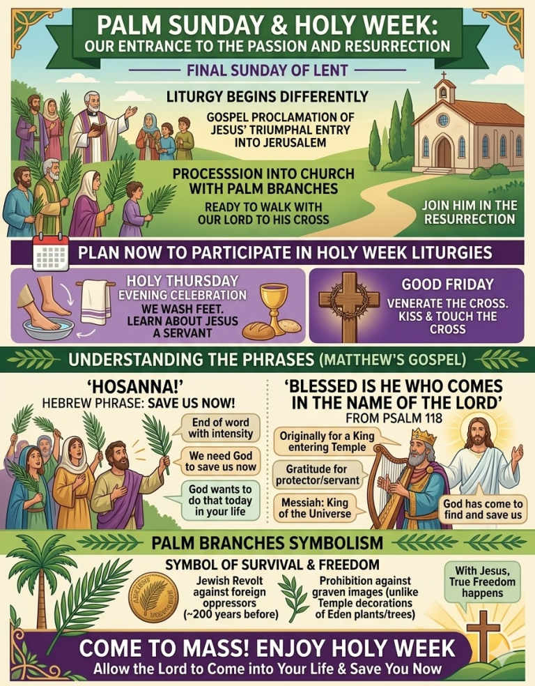LITURGY PLANNER – Palm Sunday (A) - The Word This Week